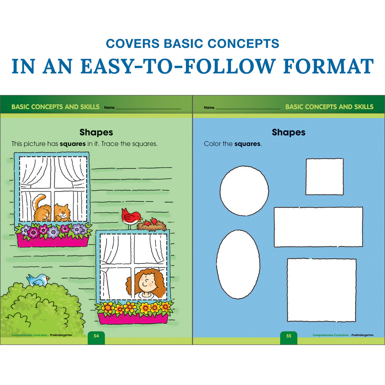 Grade PK Comprehensive Curriculum of Basic Skills Workbook eBook (PDF)