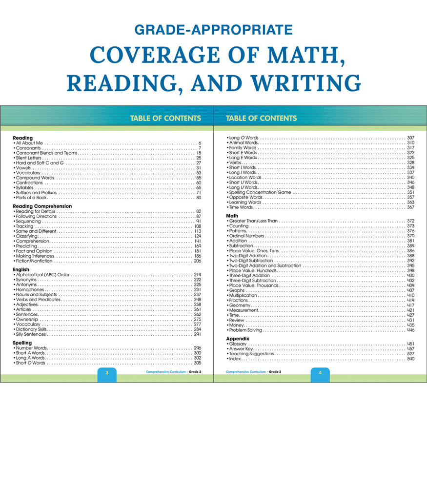 Grade 2 Comprehensive Curriculum of Basic Skills Workbook Paperback