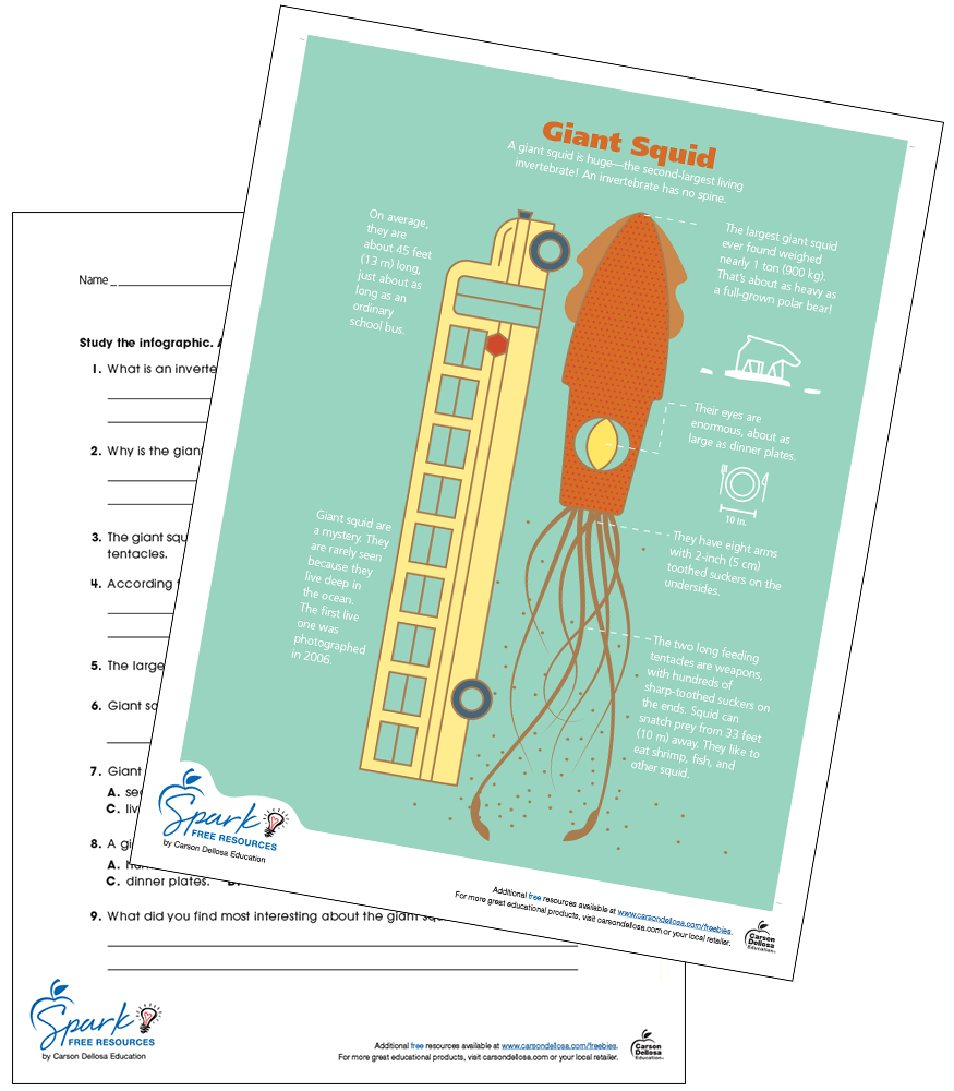 Giant Squid Infographic Free Printable | Carson Dellosa