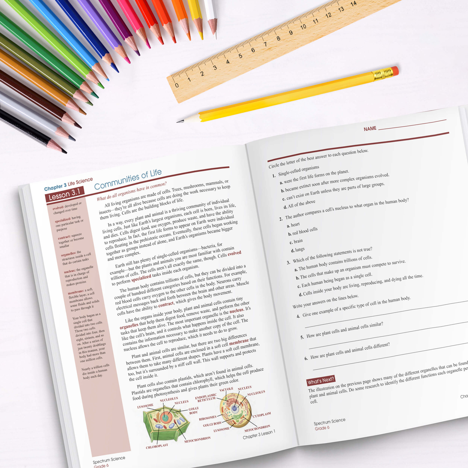 Grade 6 Spectrum Science Workbook eBook (PDF)