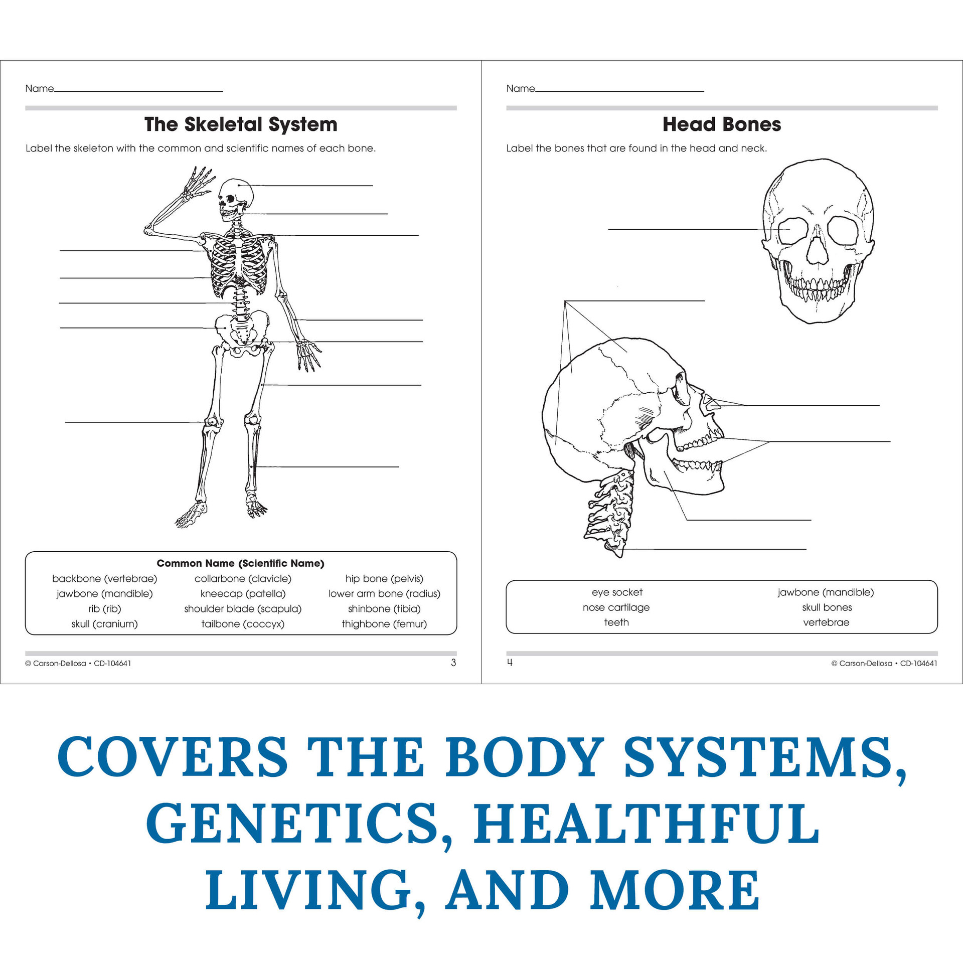 Human Body Workbook Grade 5-8 eBook