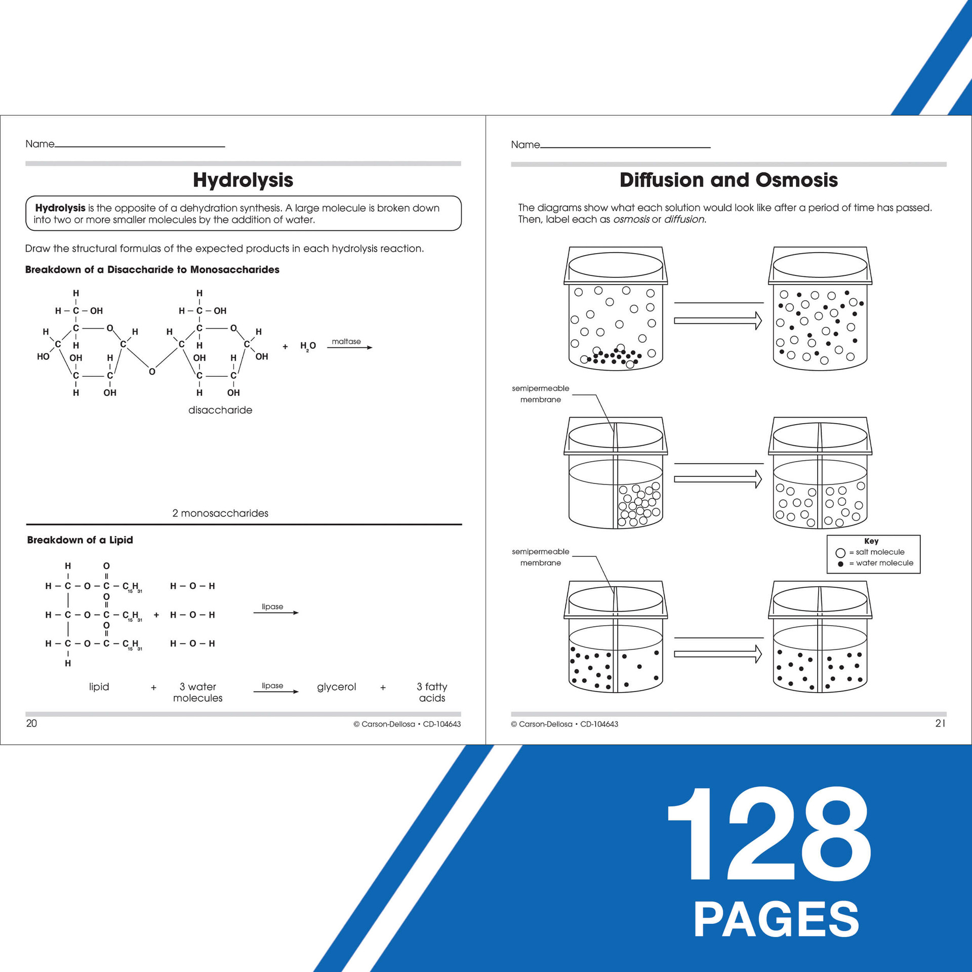 Grade 6-12 Biology Workbook eBook (PDF)