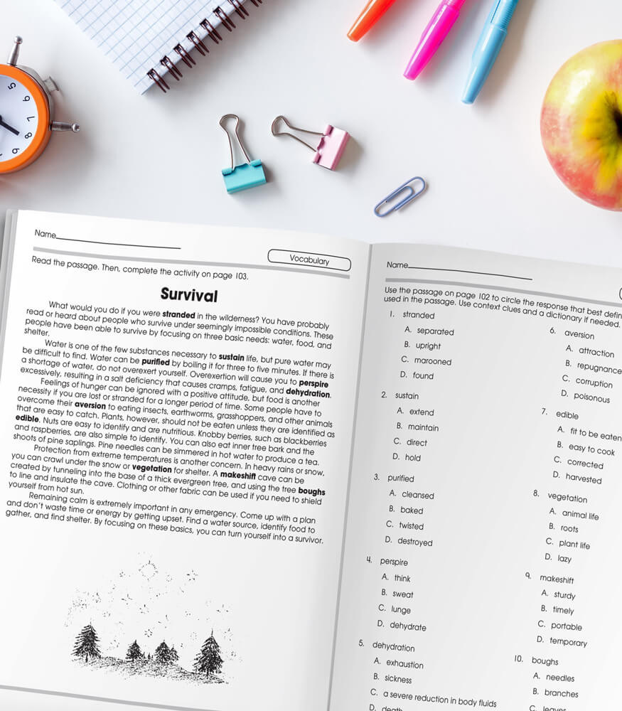 Grade 8 Reading Comprehension Workbook eBook (PDF)