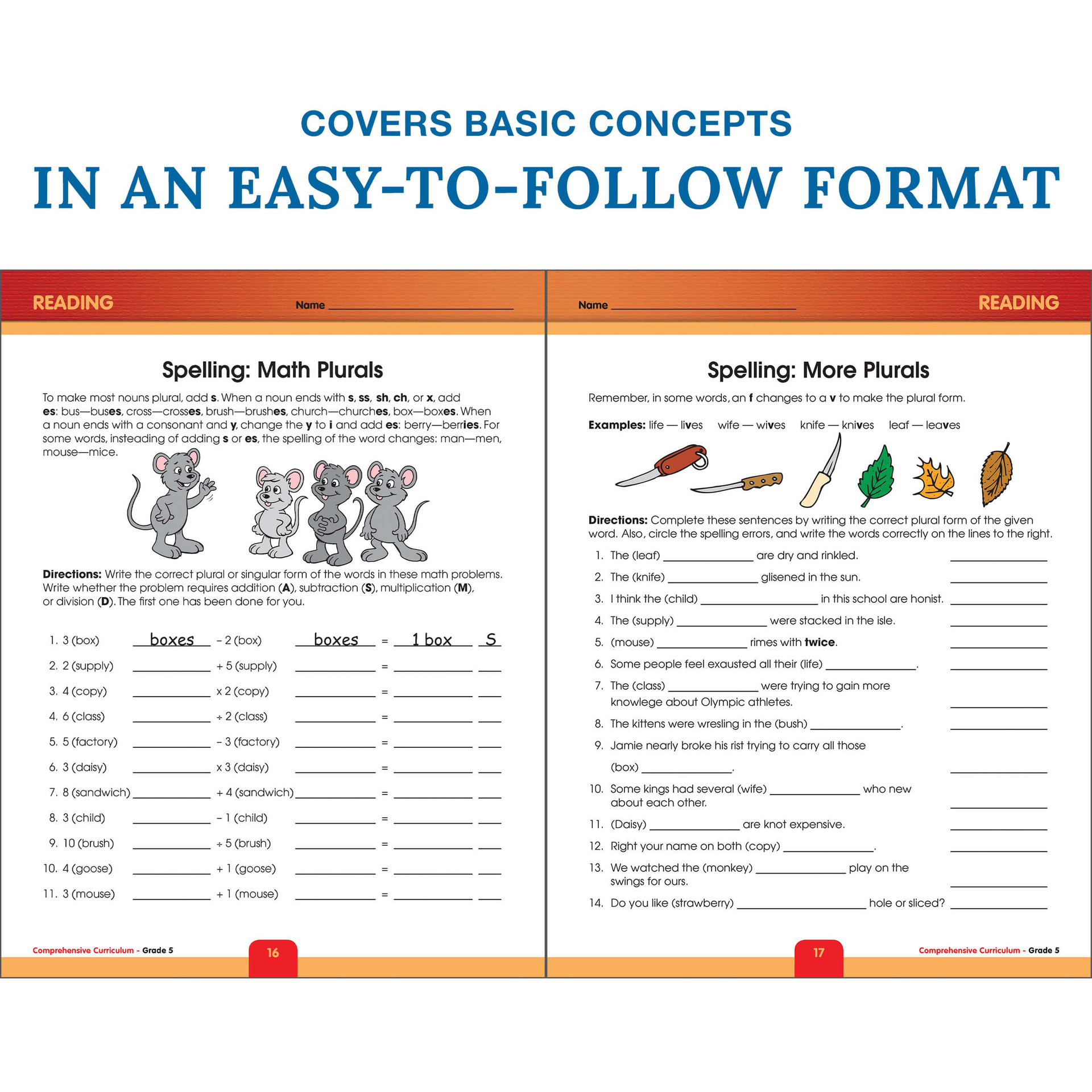 Grade 5 Comprehensive Curriculum of Basic Skills Workbook eBook (PDF)