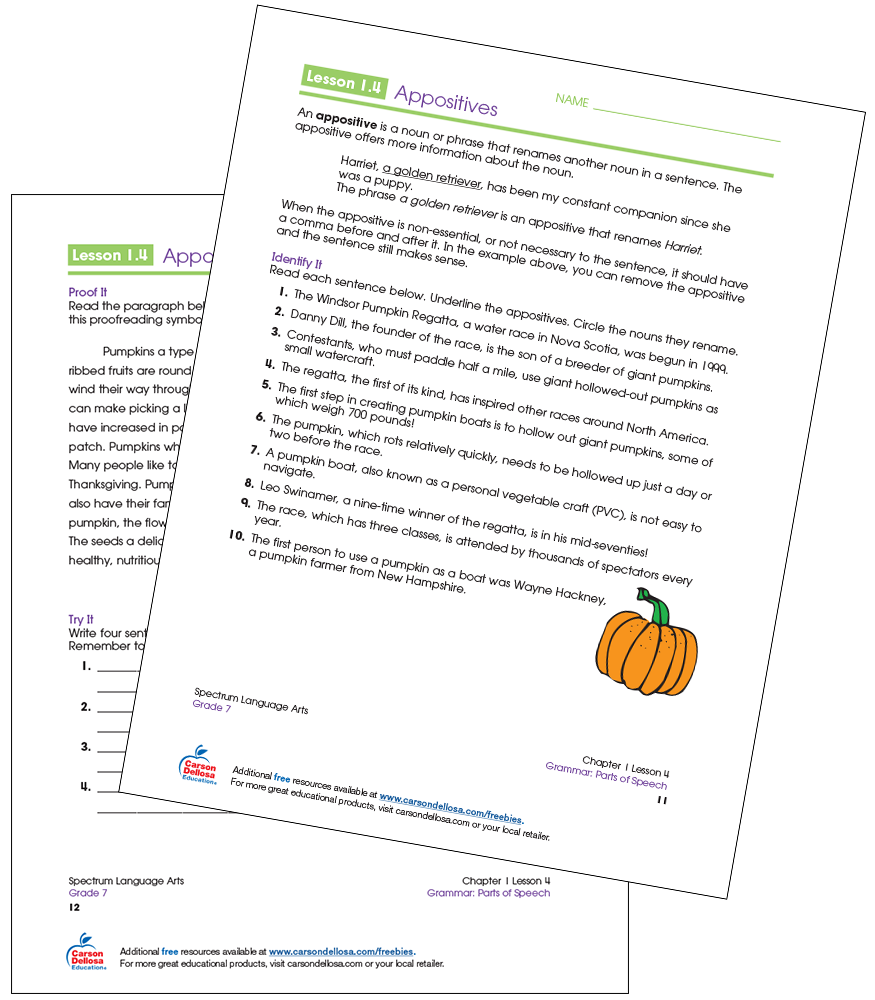 Appositives Free Printable | Carson Dellosa