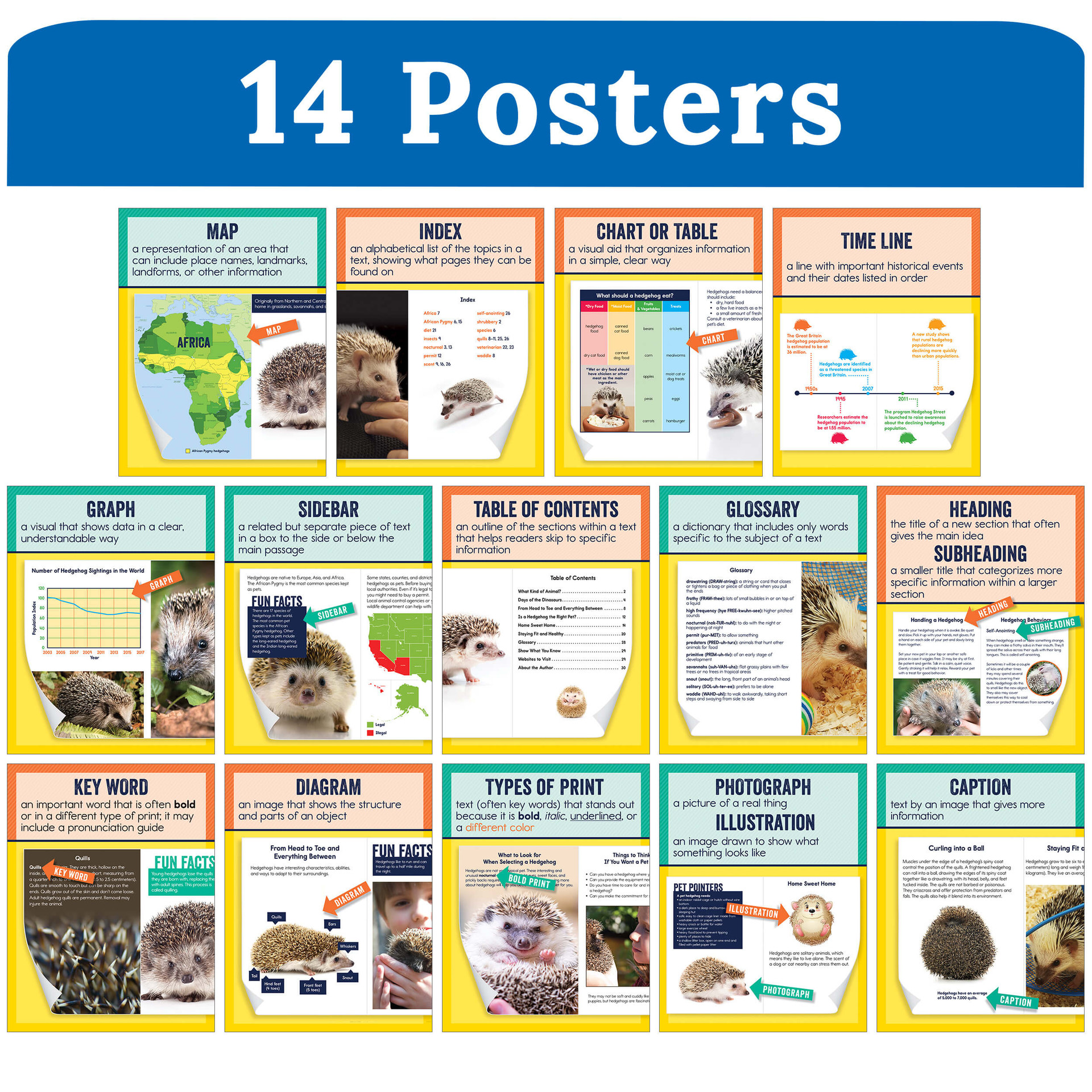 Grade 1-6 Mini Posters: Nonfiction Text Features Poster Set