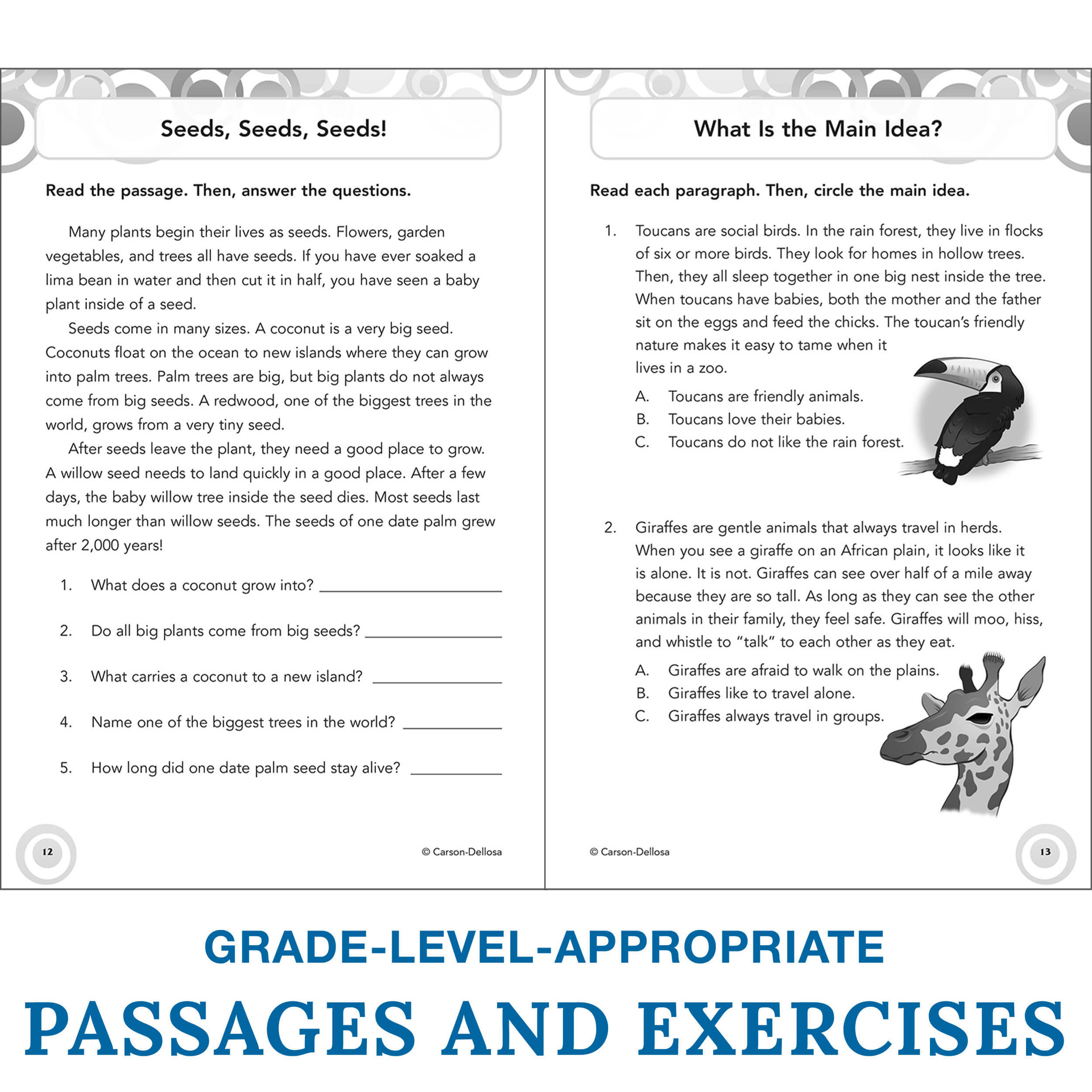 Grade 3 Skill Builders Reading Comprehension Workbook Paperback