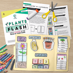 Free Printable Classroom Décor | Carson Dellosa