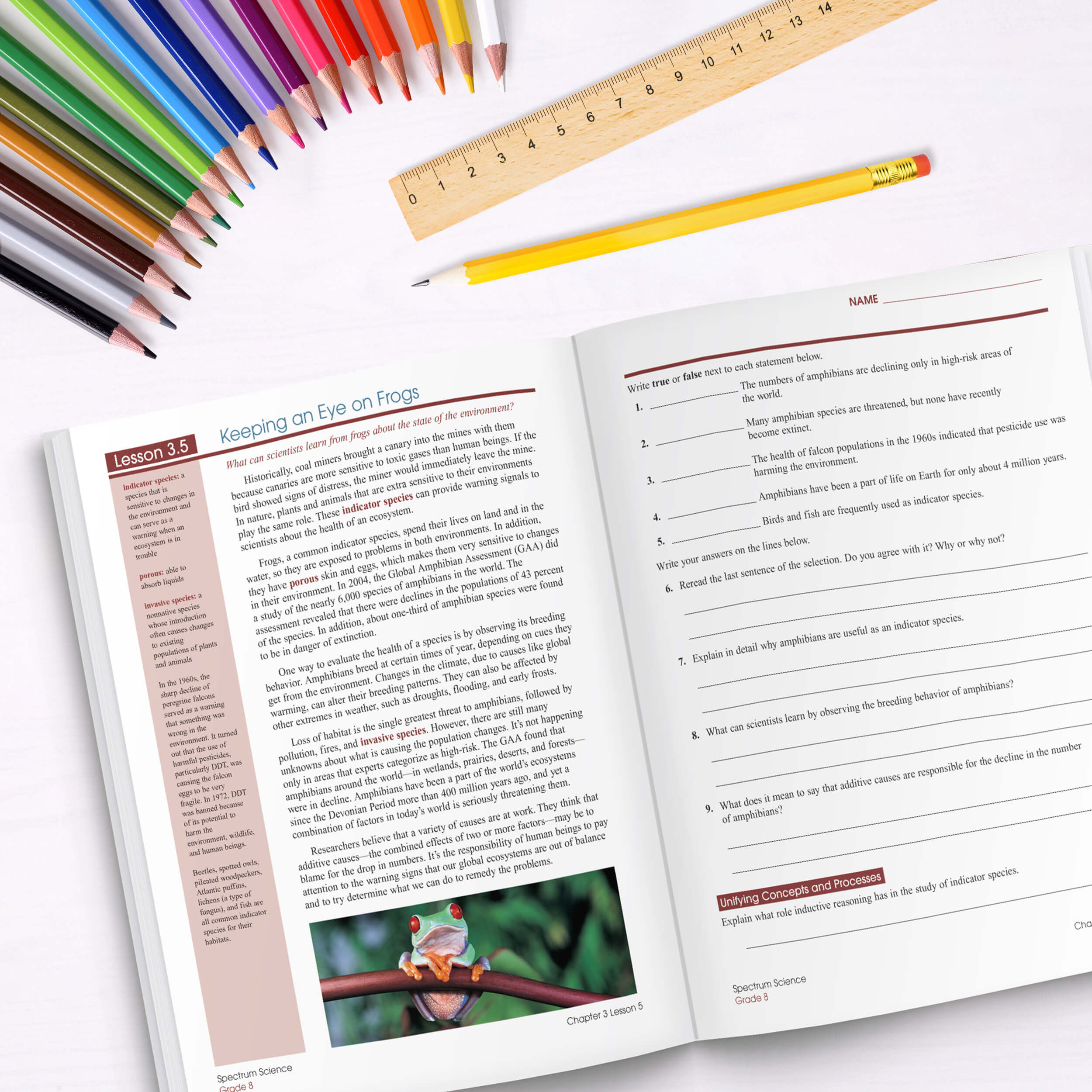 Grade 8 Spectrum Science Workbook eBook (PDF)