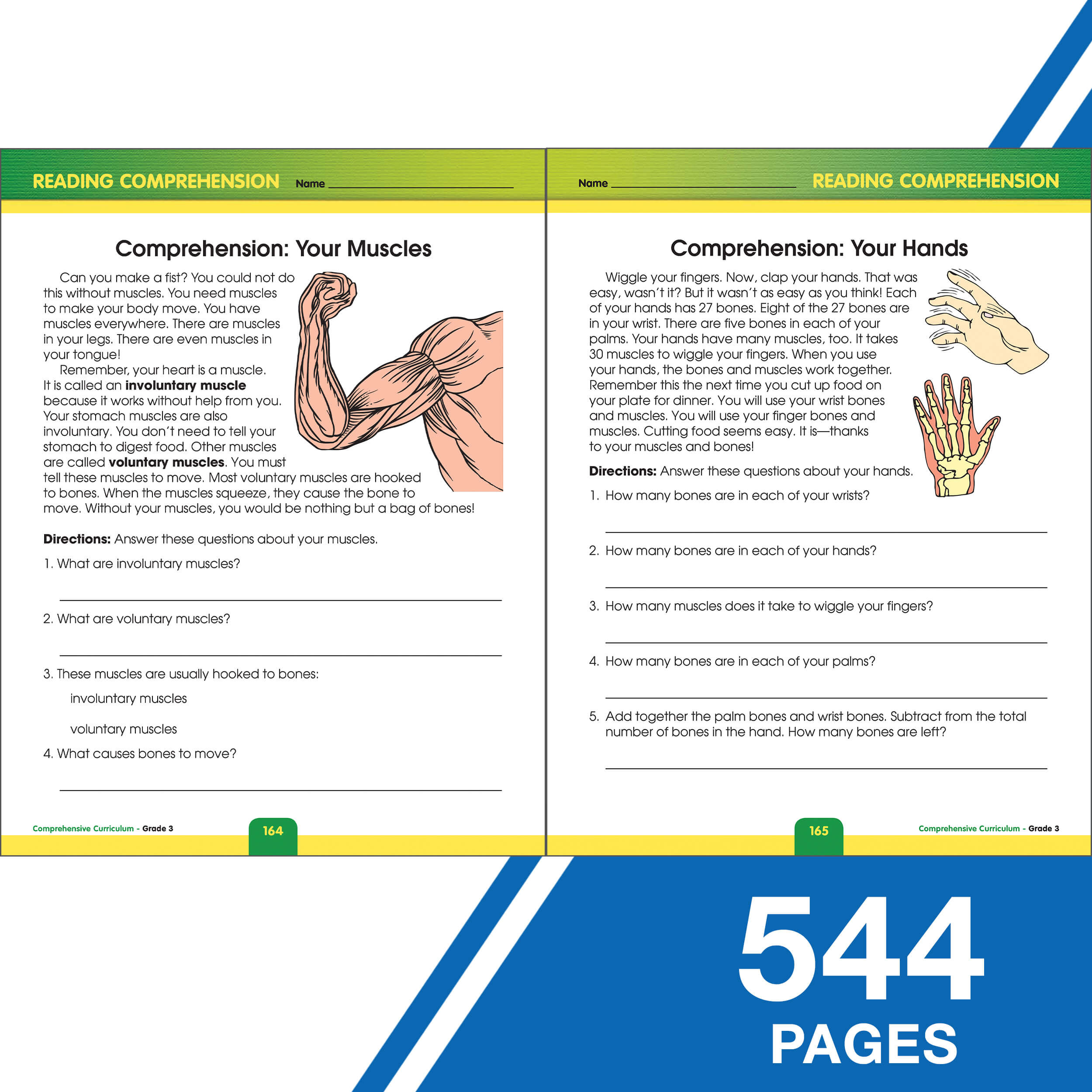 Grade 3 Comprehensive Curriculum of Basic Skills Workbook eBook