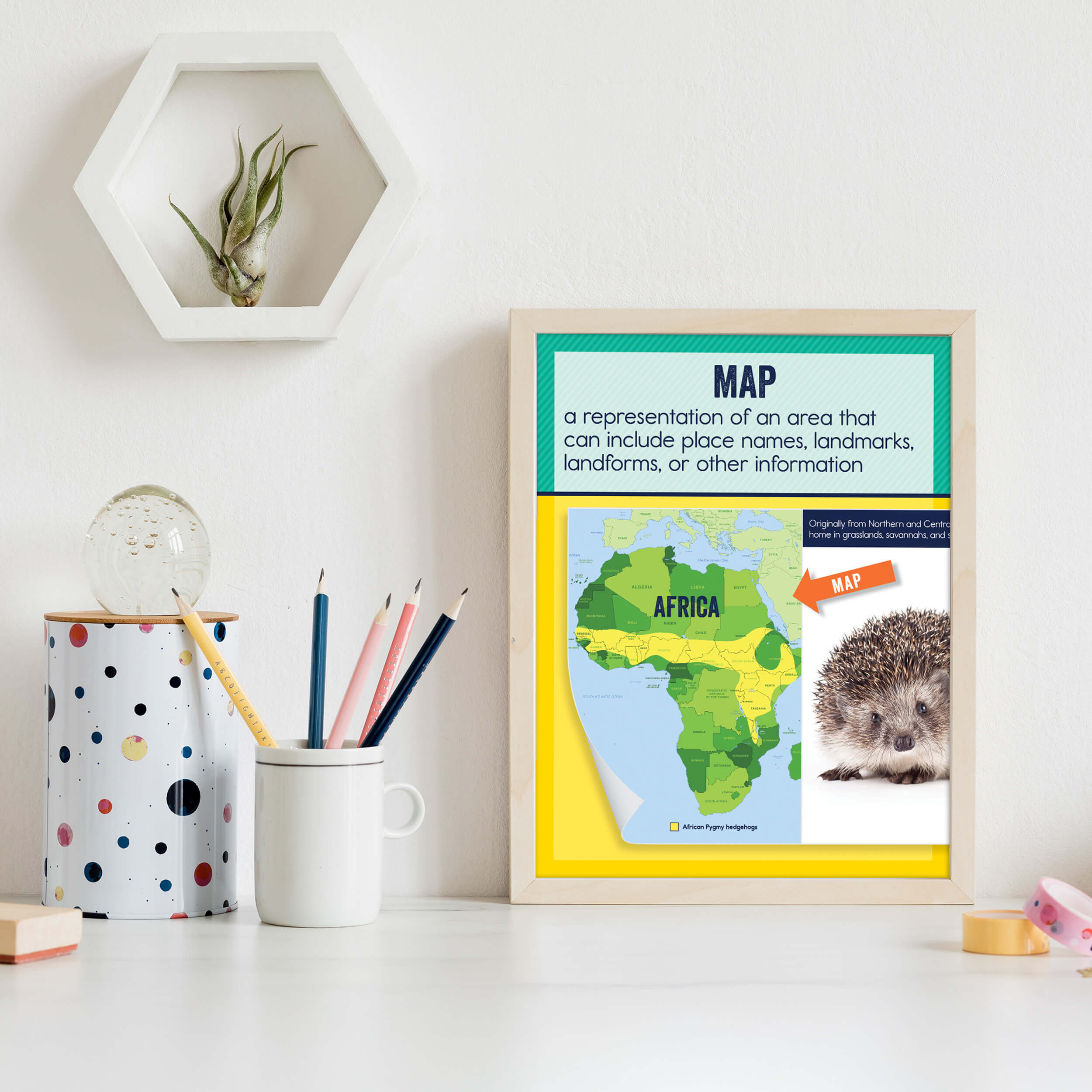 Grade 1-6 Mini Posters: Nonfiction Text Features Poster Set