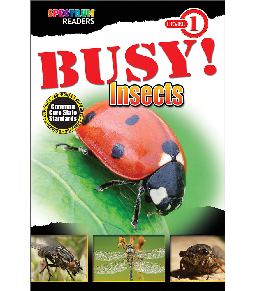 BUSY! Insects Reader Free eBook | Carson Dellosa