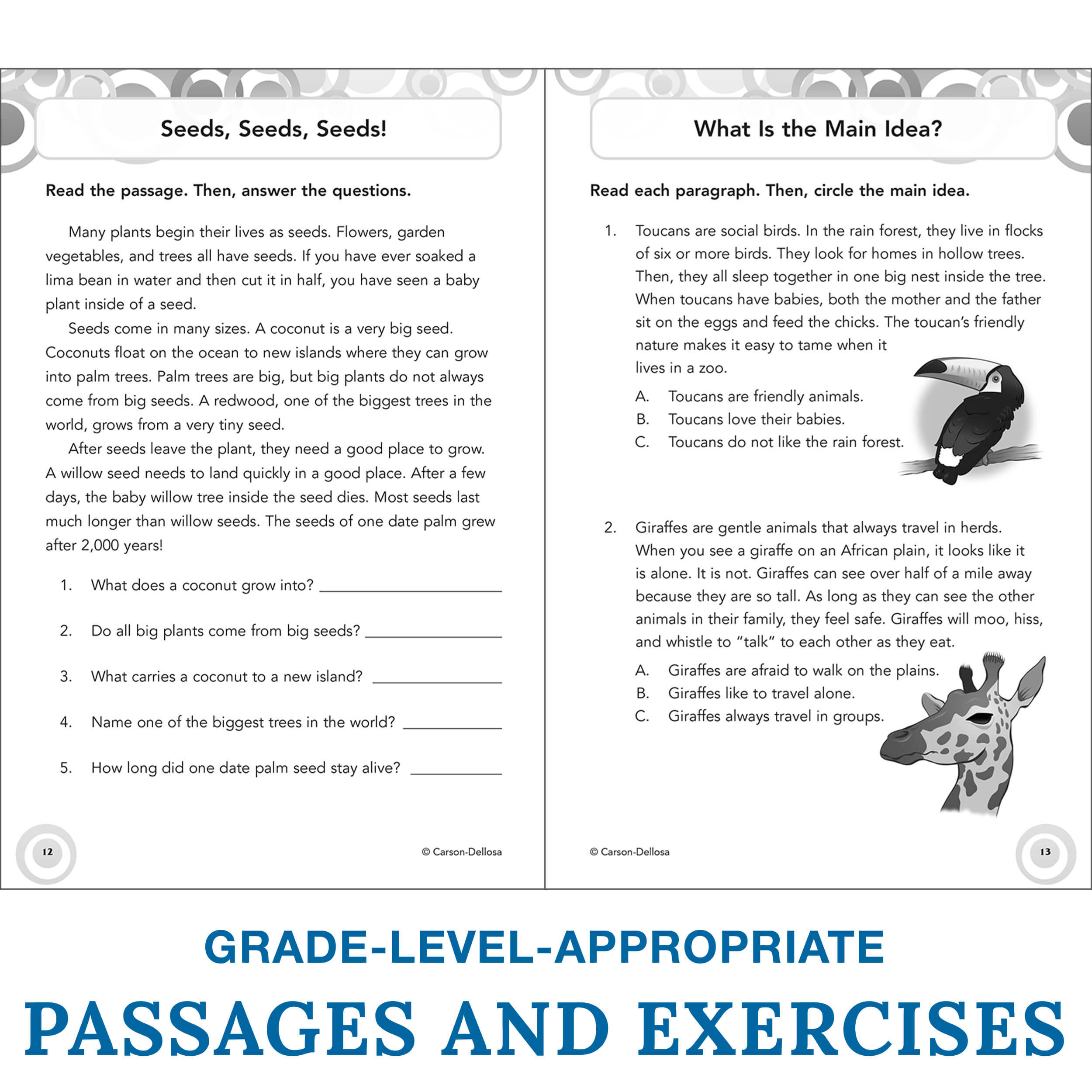 Grade 3 Skill Builders Reading Comprehension Workbook Paperback