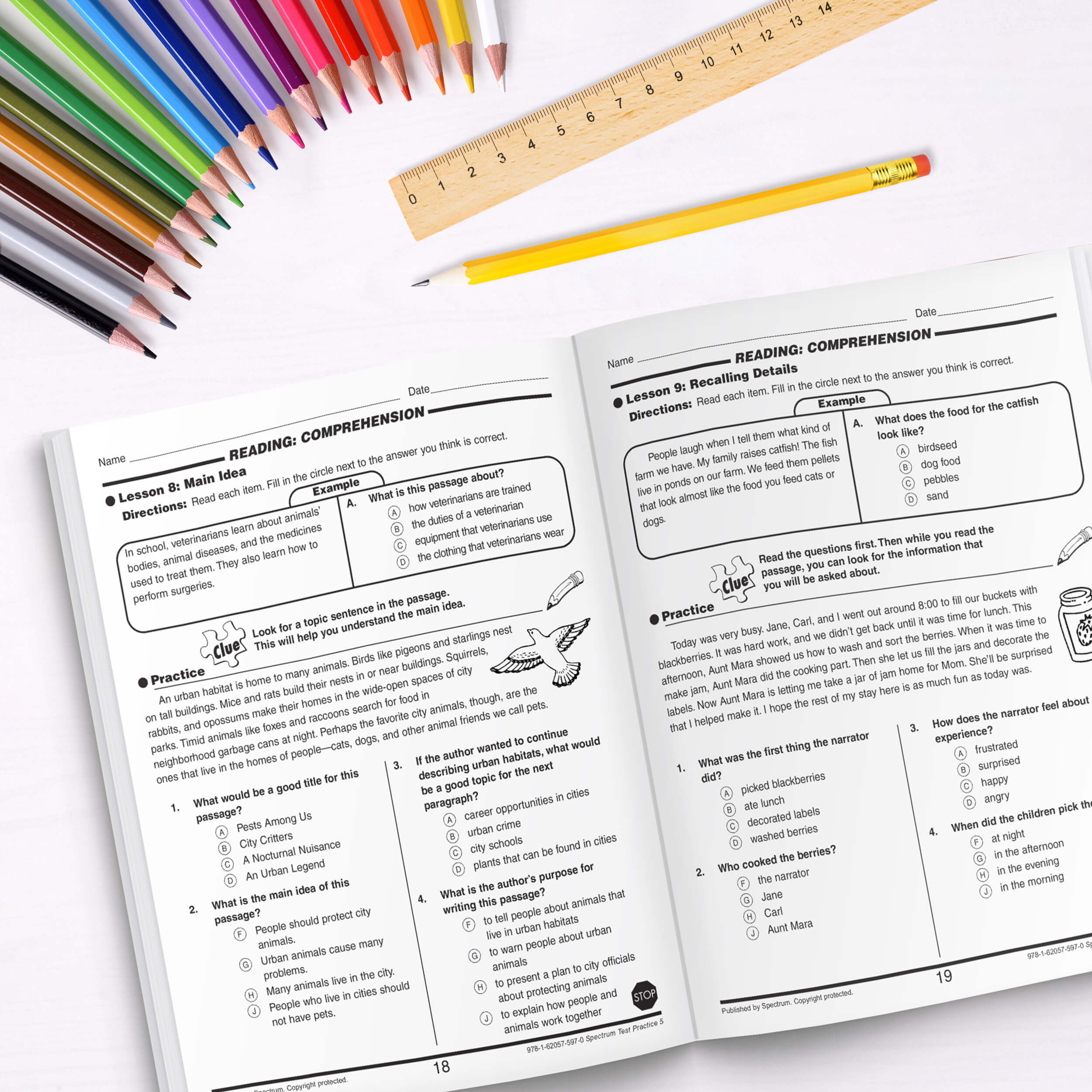 Grade 5 Spectrum Test Practice Workbook eBook (PDF)