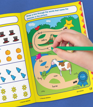 Grade K Home Workbooks Beginning Reading Workbook