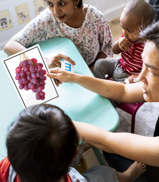 Grade PK-K Early Learning Language Library Learning Cards