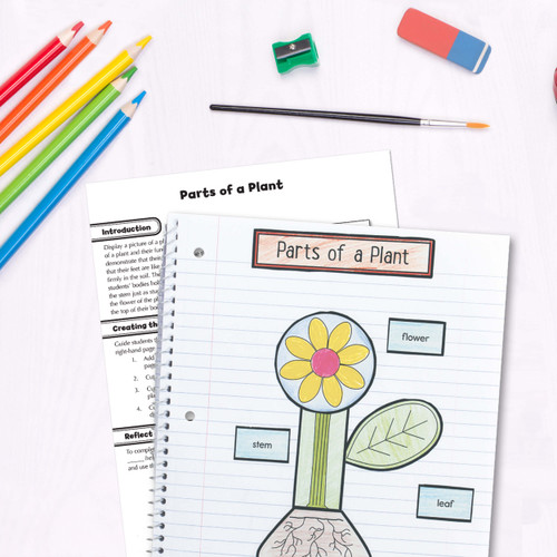 Grade 1 Interactive Notebooks: Science Resource Book eBook (PDF)