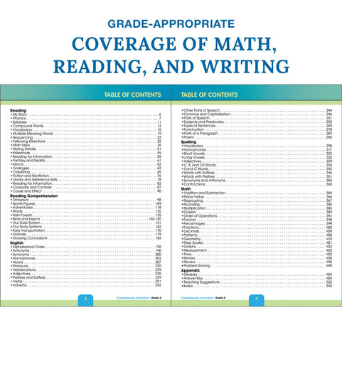 Grade 3 Comprehensive Curriculum of Basic Skills Workbook Paperback