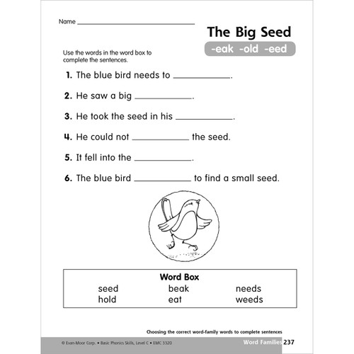 Grade 1-2 Basic Phonics Skills Level C, Teacher Resource Book eBook