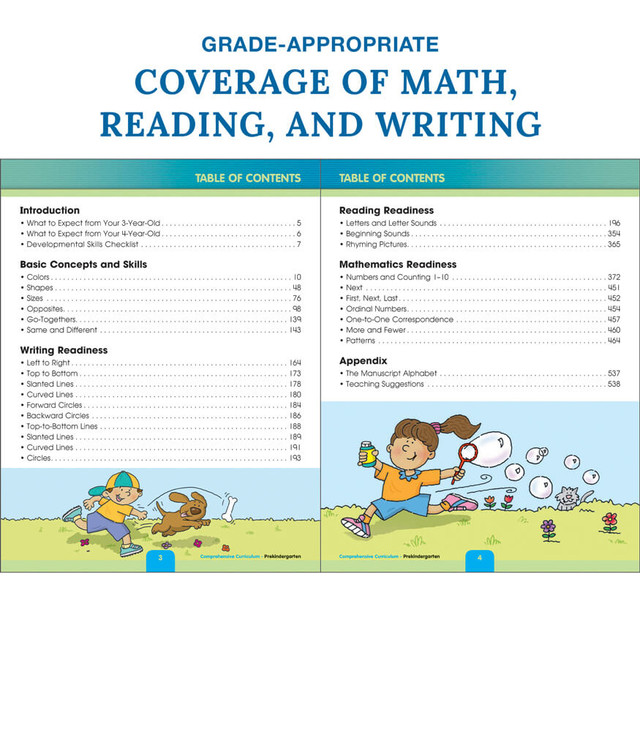 Grade PK-K Comprehensive Curriculum of Basic Skills Workbook Paperback
