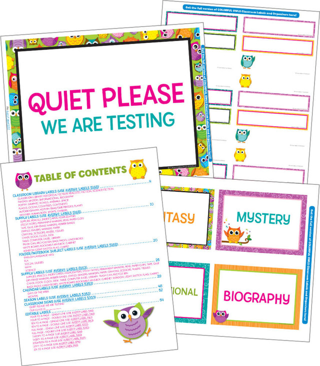 Colorful Owls Classroom Printable Labels & Organizers