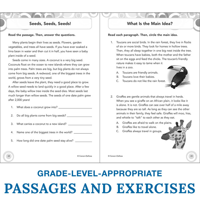 Grade 3 Skill Builders Reading Comprehension Workbook Paperback