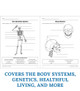 Grade 5-8 Human Body Workbook Paperback