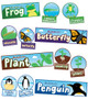 Grade K-3 Life Cycles Bulletin Board Set