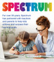 Grade 1 Spectrum Test Practice Workbook Paperback