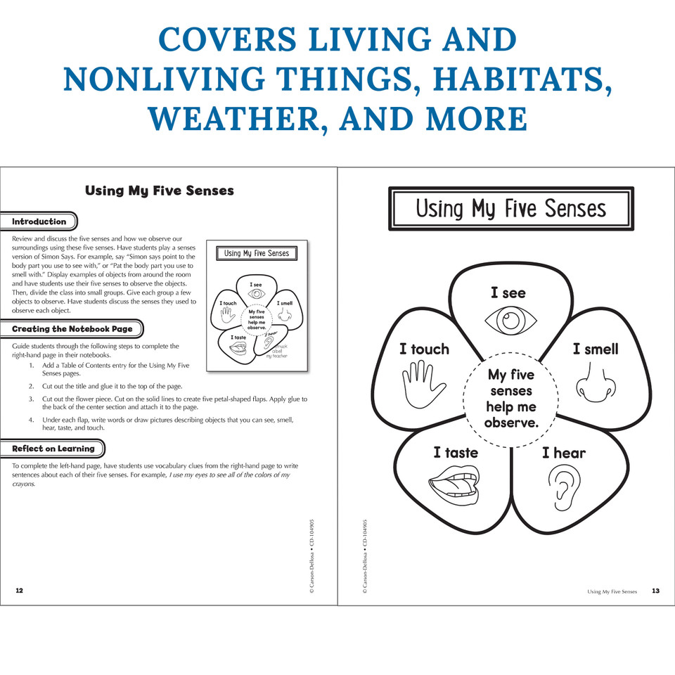 Grade 1 Interactive Notebooks: Science Resource Book eBook (PDF)