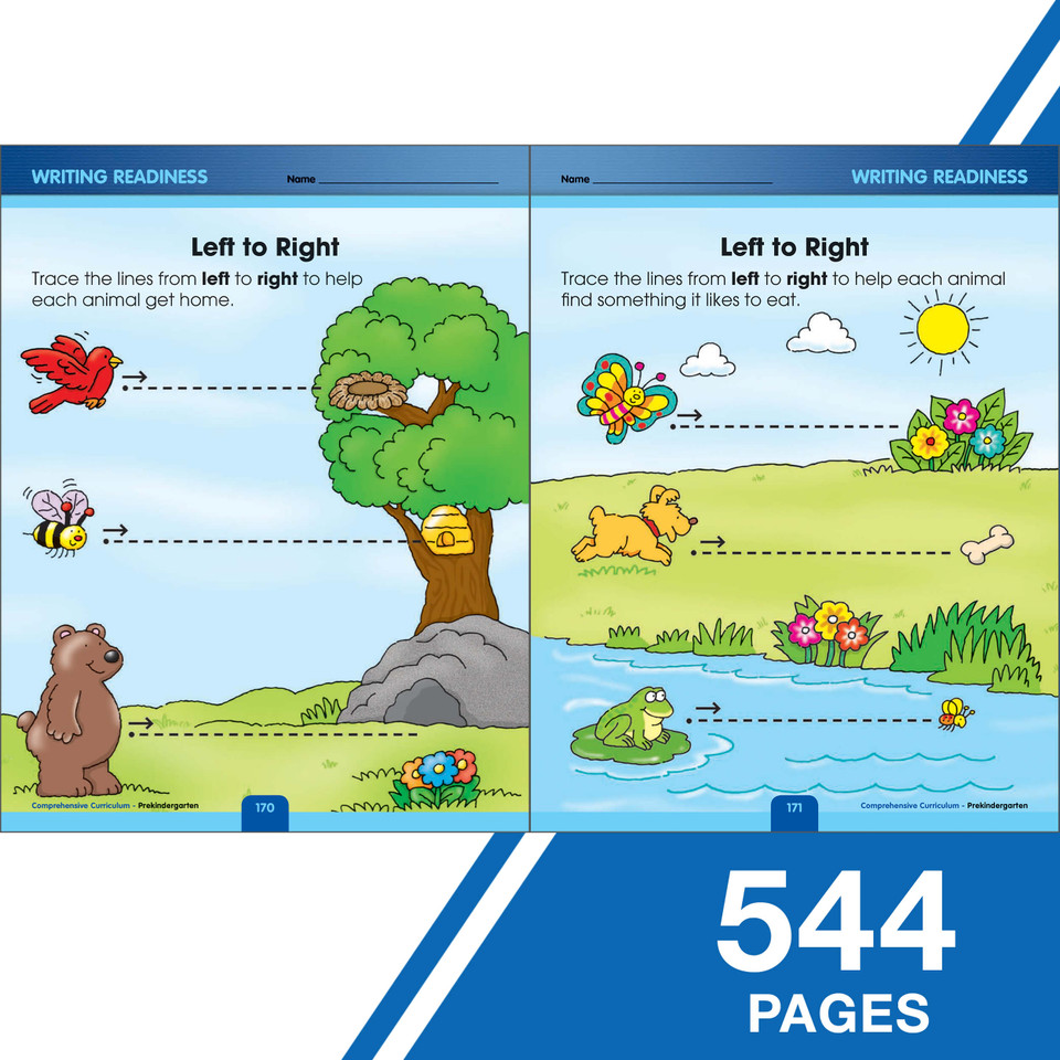 Grade PK-K Comprehensive Curriculum of Basic Skills Workbook eBook