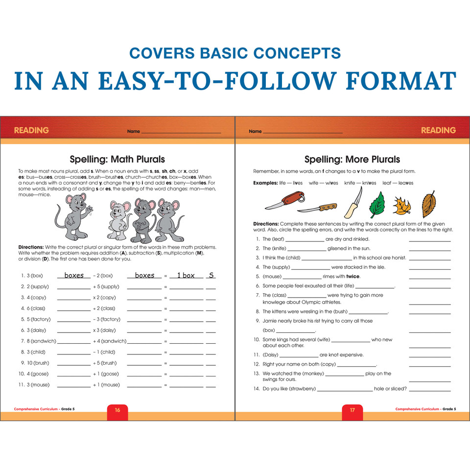 Grade 5 Comprehensive Curriculum of Basic Skills Workbook eBook