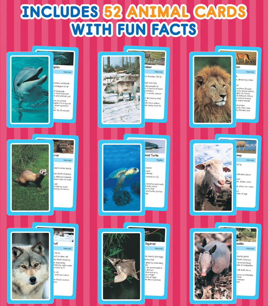 Grade PK-3 Animals Flash Cards