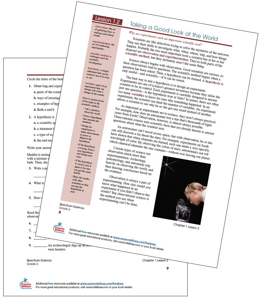 Taking a Good Look at the World Free Printable | Carson Dellosa