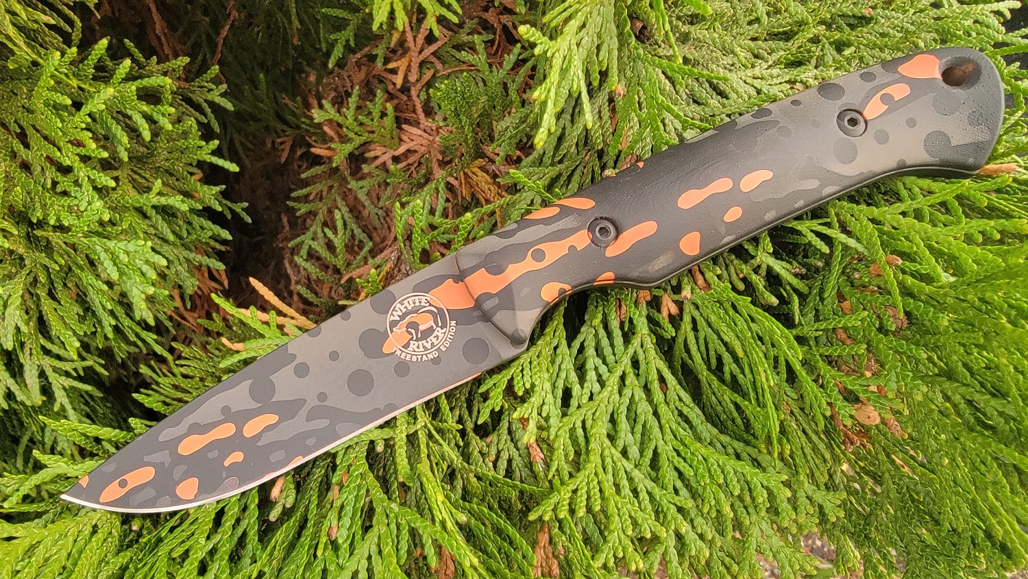 Custom Hunter - Poison Frog
