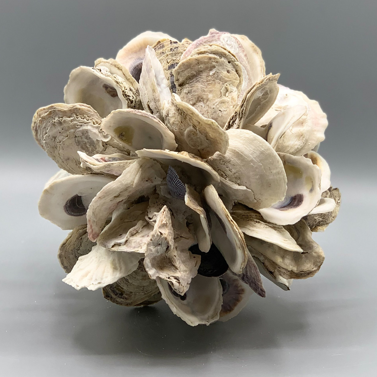 Handmade Oyster Shell Sphere