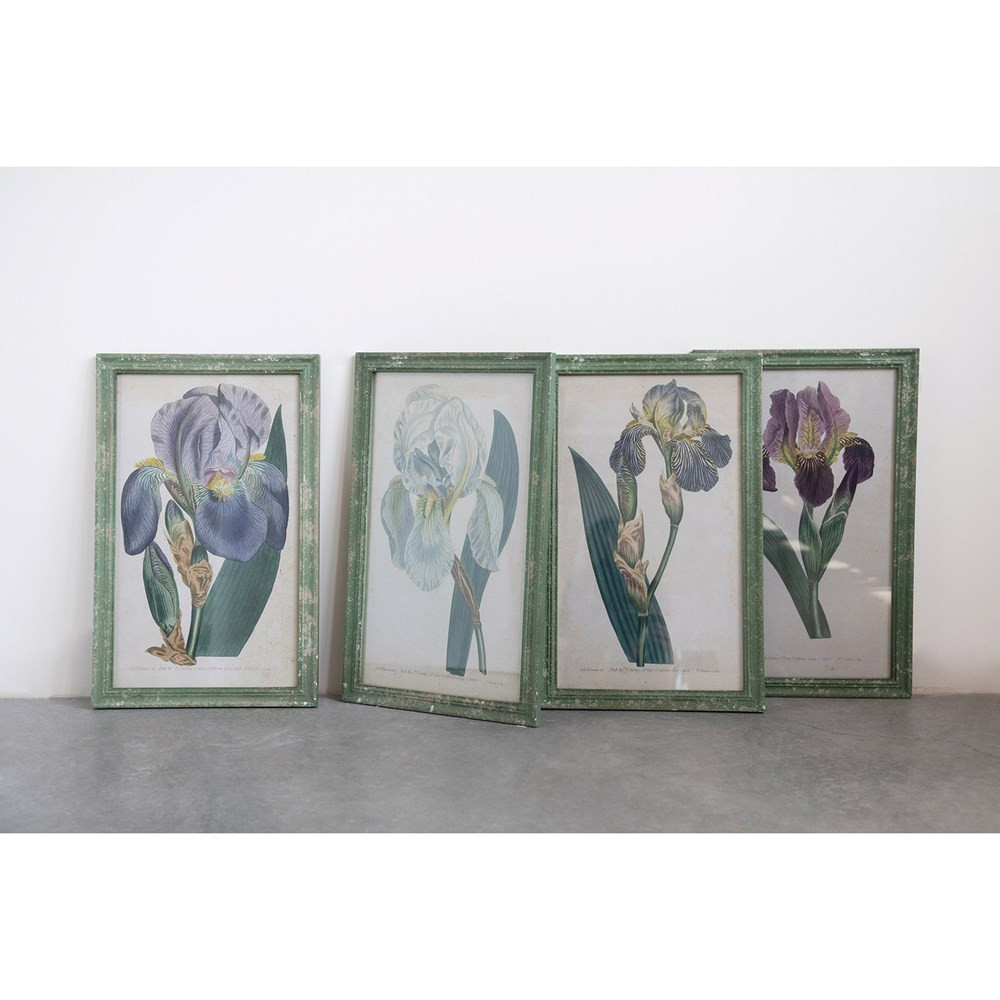 Framed Iris Wall Decor - Ocean Springs Mercantile
