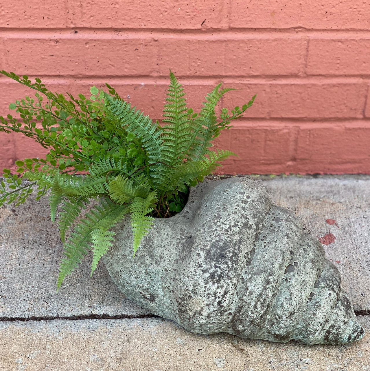 Tapered Shell Pot - Ocean Springs Mercantile