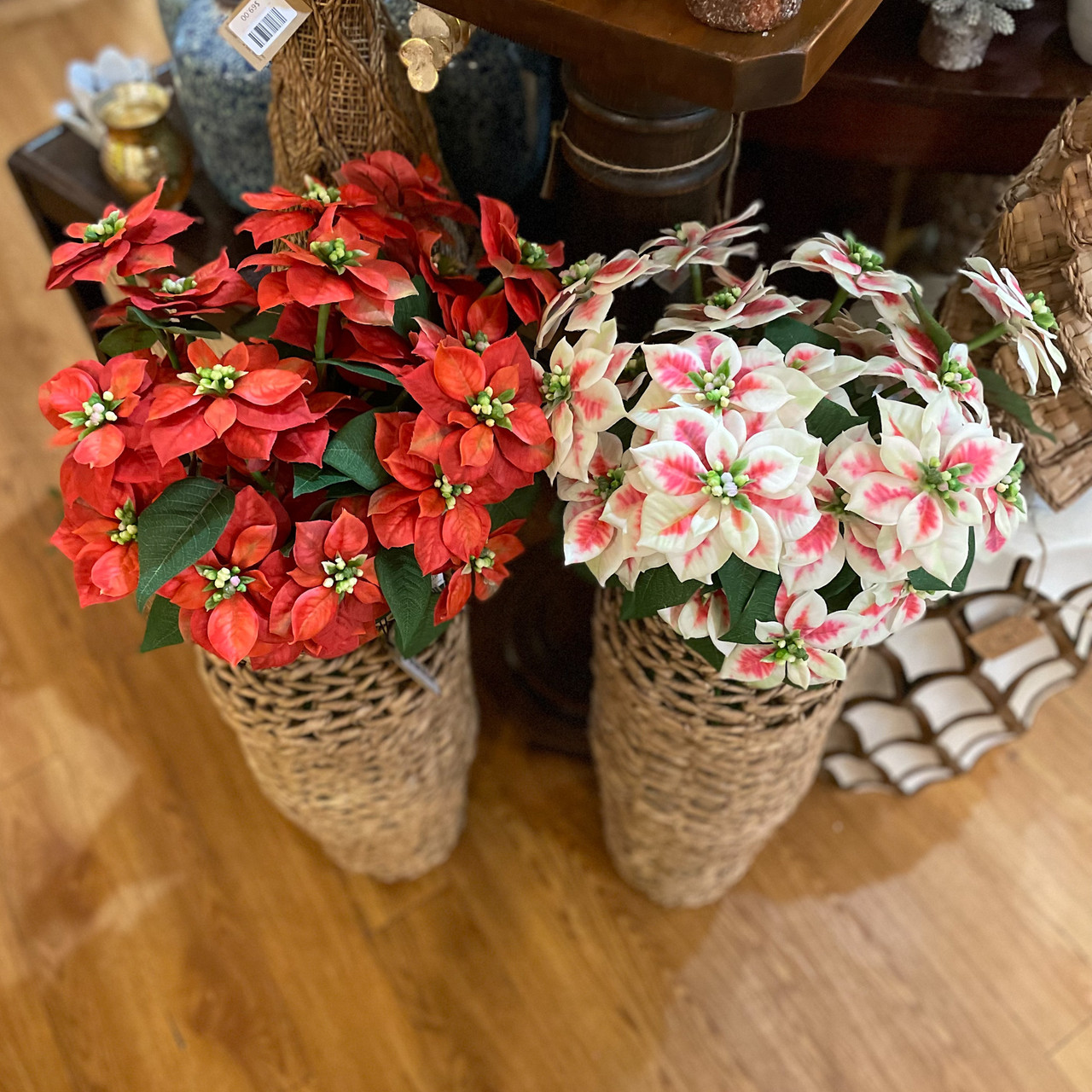 Poinsettia Stem - Ocean Springs Mercantile