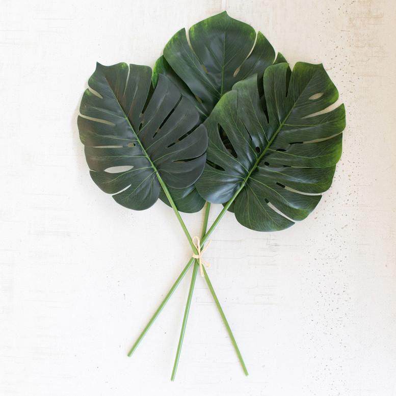 Large Monstera Leaf Bundle - Ocean Springs Mercantile