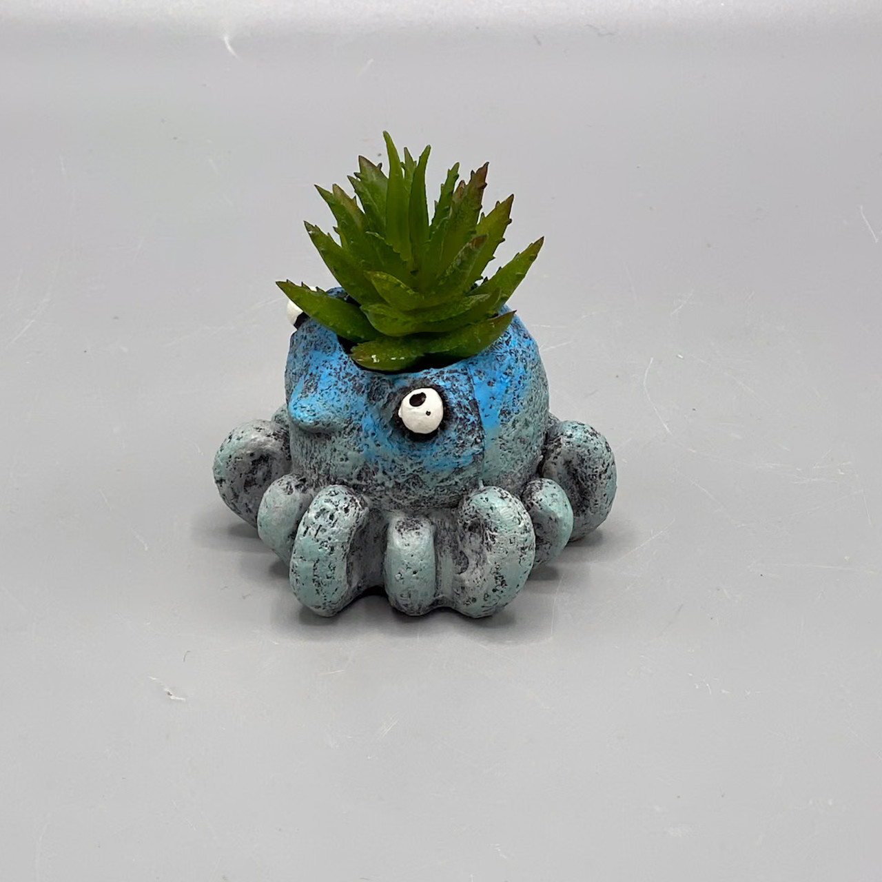 Plant w/Inky Octopus Planter - Ocean Springs Mercantile