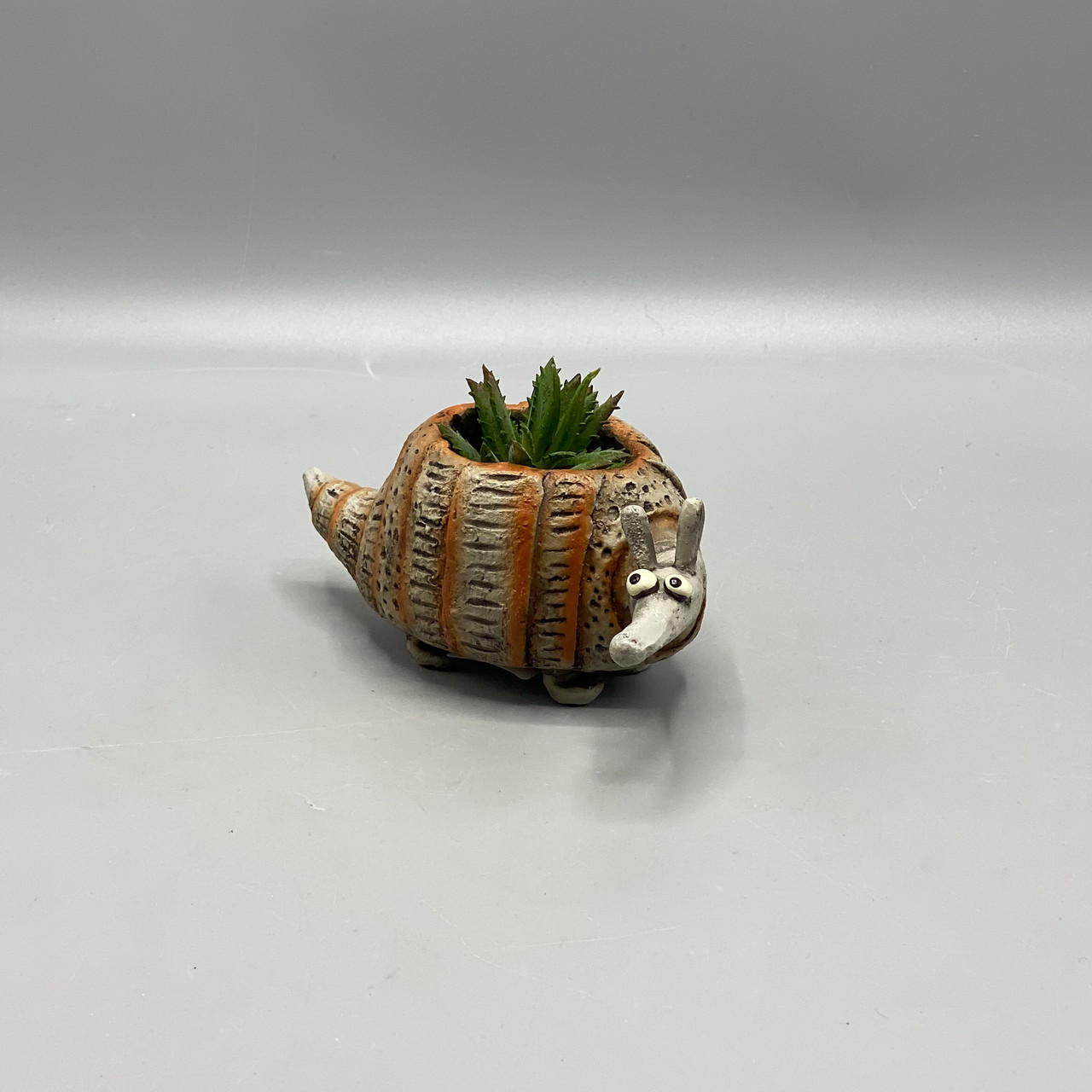 Plant w/Ernesto Armadillo Planter - Ocean Springs Mercantile