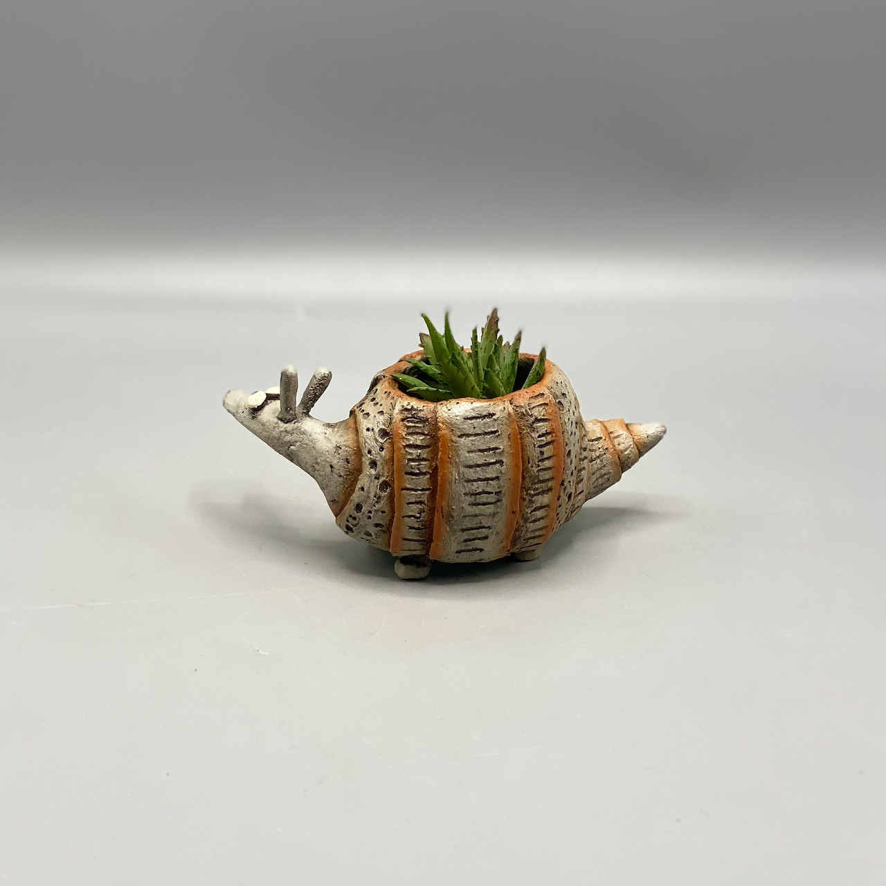 Plant w/Ernesto Armadillo Planter - Ocean Springs Mercantile