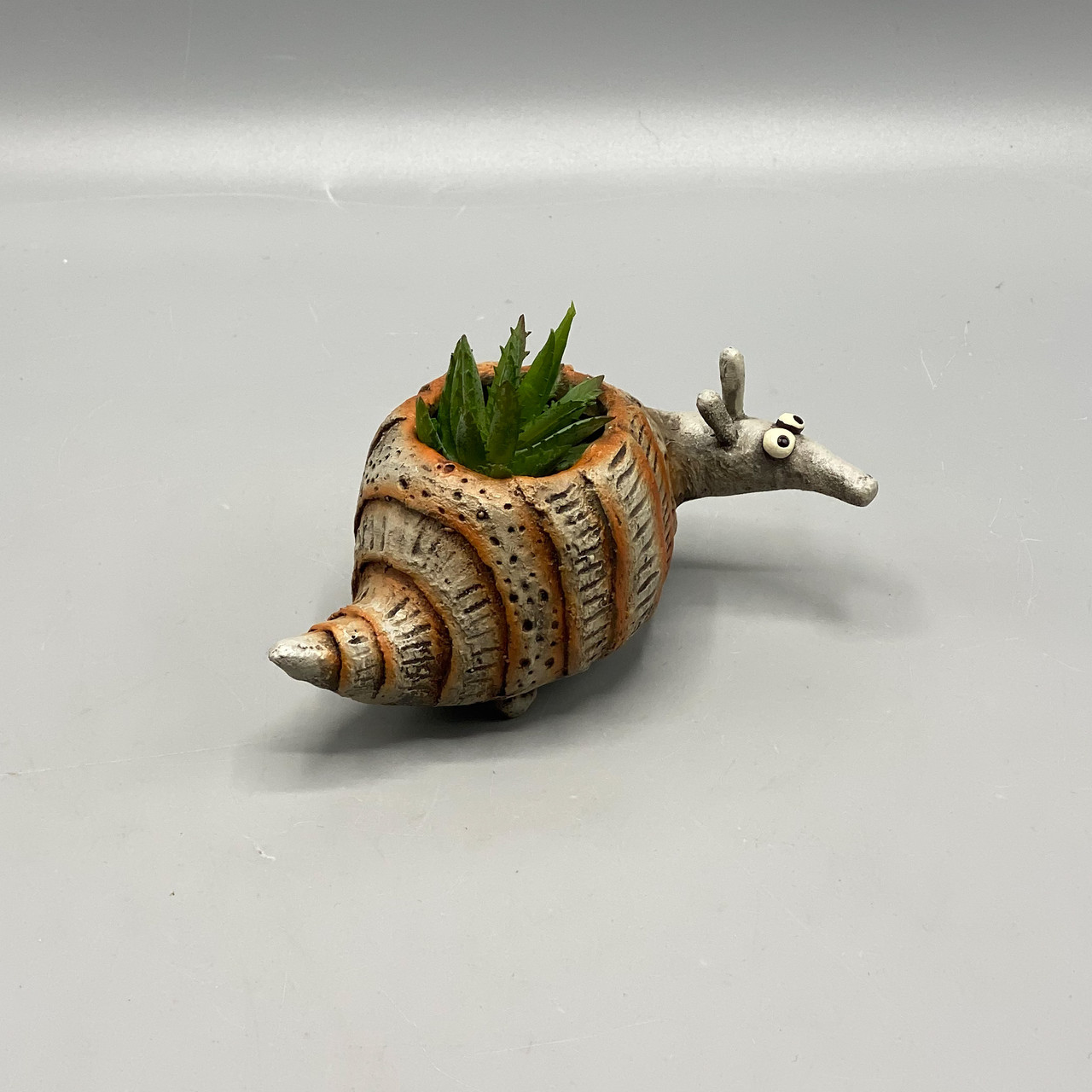 Plant w/Ernesto Armadillo Planter - Ocean Springs Mercantile