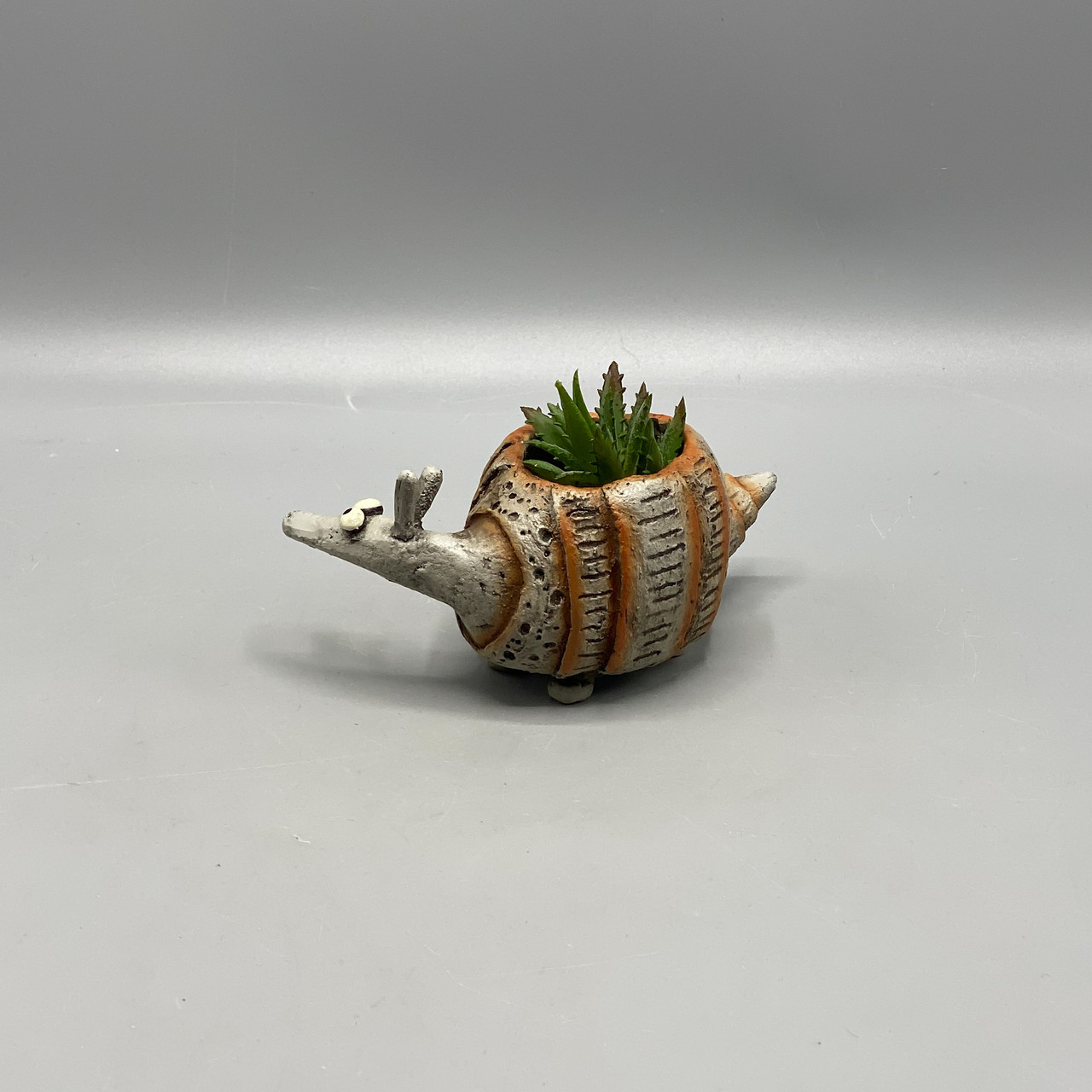Plant w/Ernesto Armadillo Planter - Ocean Springs Mercantile