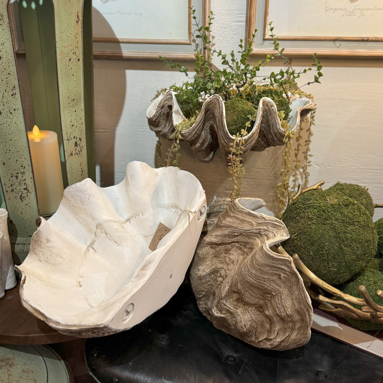 Decorative Clam Shell Wall Container - Ocean Springs Mercantile