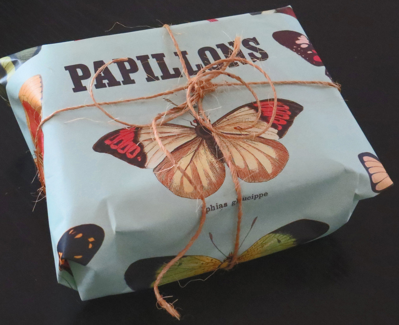 Gift wrap paper Butterfly blue print - Bits and Bugs