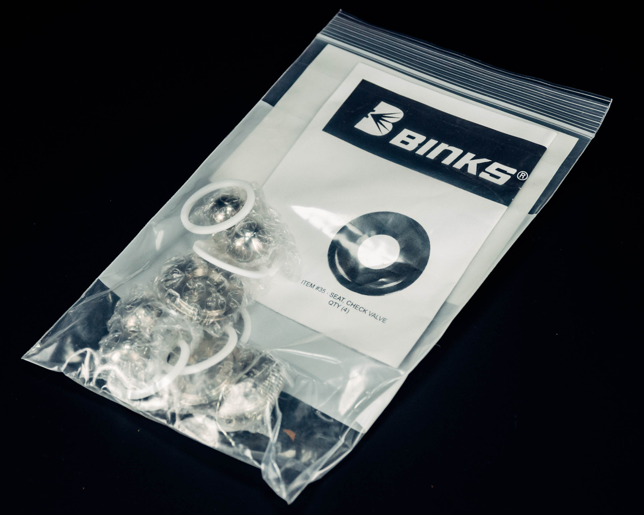 Binks Gemini Ball and Seat Repair Kit (41-718854)