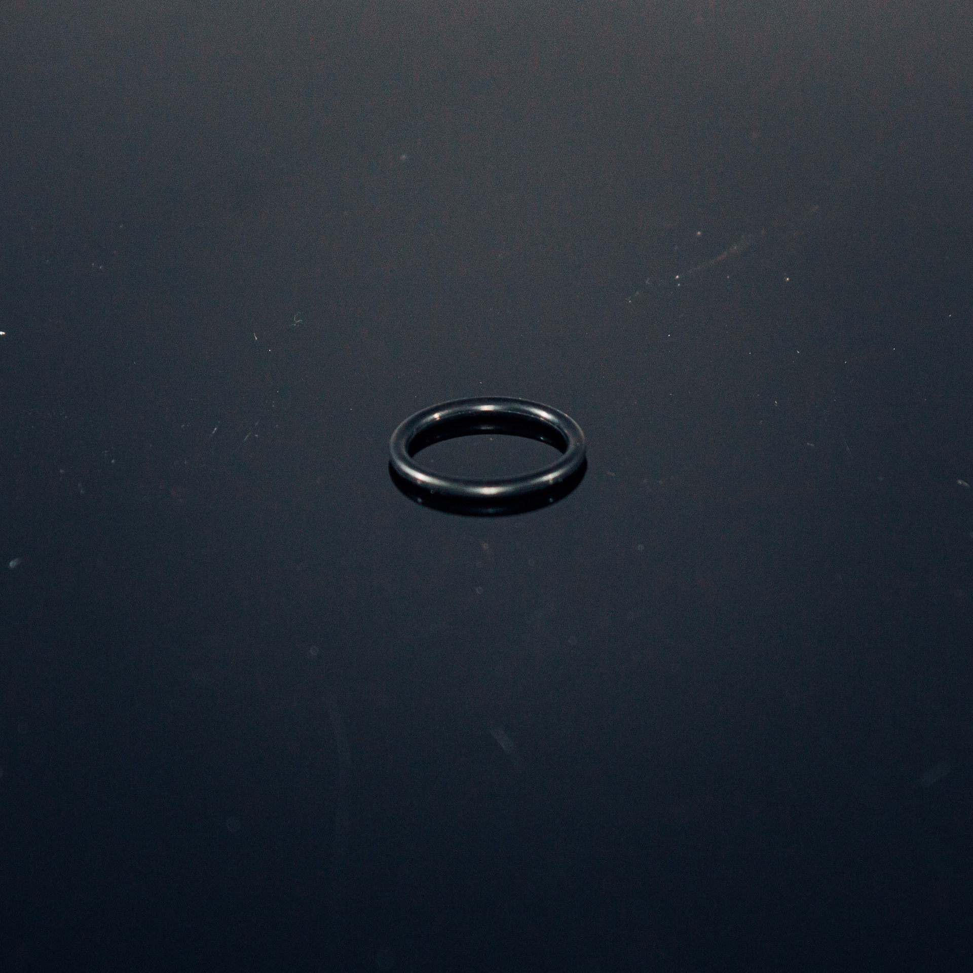 9974023 | Wagner Conductive Sealing Ring for SPRINT Powder Coating ...