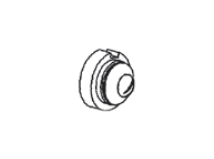 Binks Tip Assembly | .015 X 18"